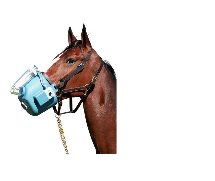 Flexineb E3 :: Equismart